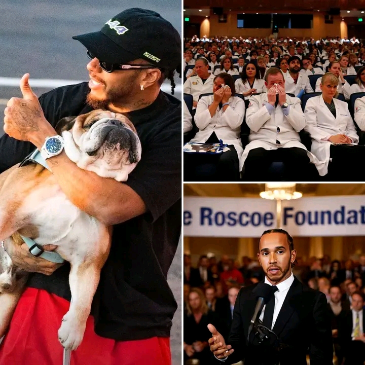 BREAKING: Lewis Hamilton Welcomes a New Four-Legged Friend After An ...